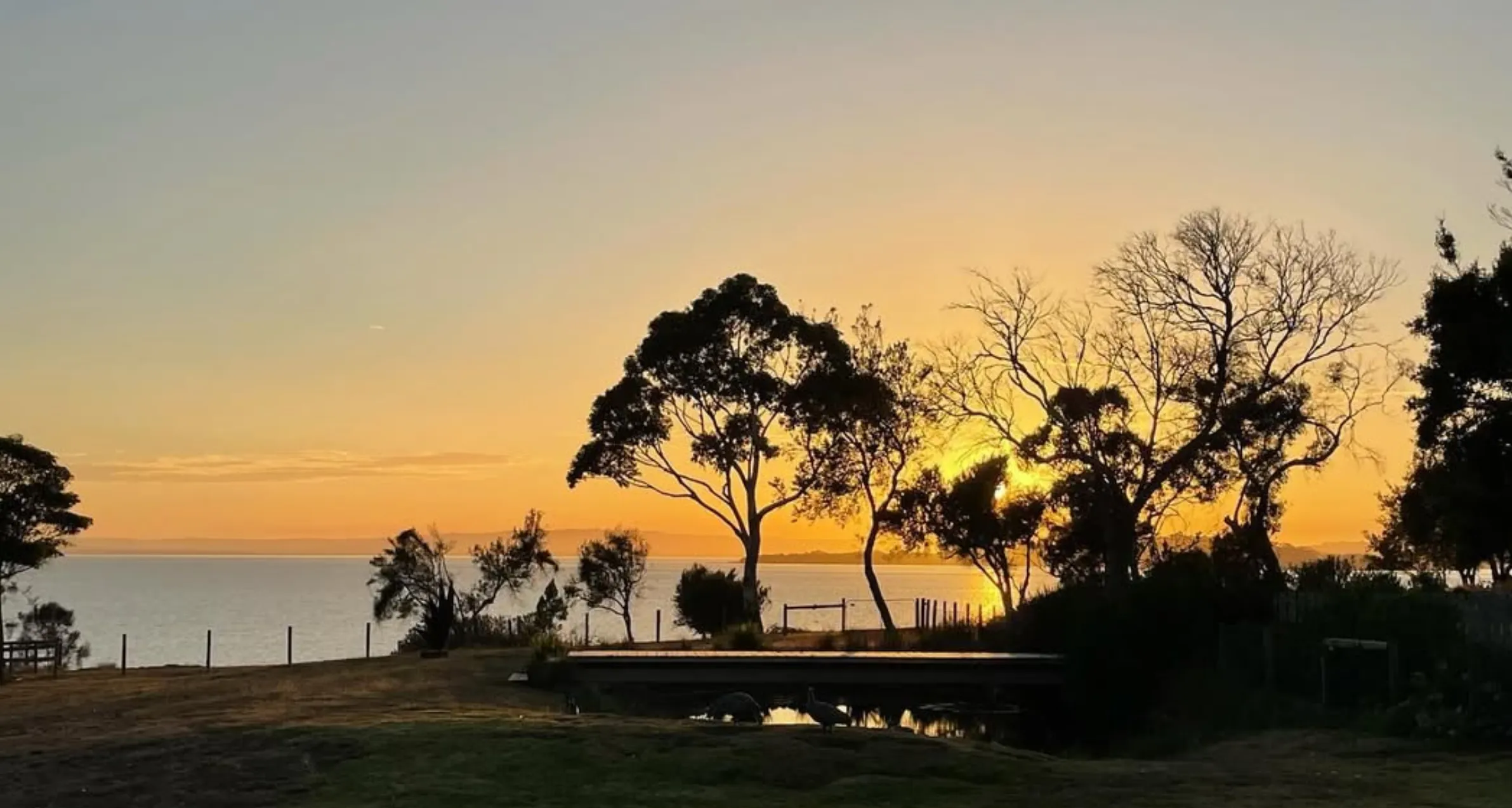 What Towns Are Near Phillip Island? A Travel Guide